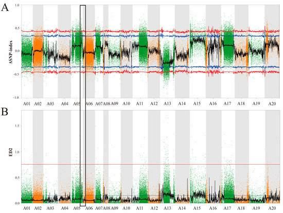 BSA-Seq Approach Identified Candidate Region and Diagnostic Marker for ...