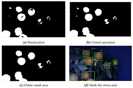 The Surface Defects Detection of Citrus on Trees Based on a Support Vector Machine