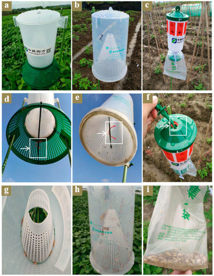 Comparison of Trapping Effects of Different Traps and Monitoring the ...