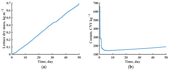 Closed-Loop Optimal Control of Greenhouse Cultivation Based on Two-Time ...