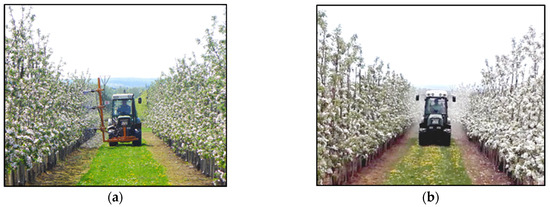 Alternative Approaches to Chemical Thinning for Regulating Crop Load ...