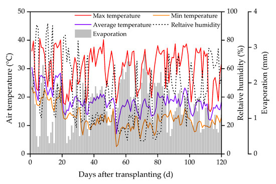 Relationship between the Dynamic Characteristics of Tomato Plant Height ...