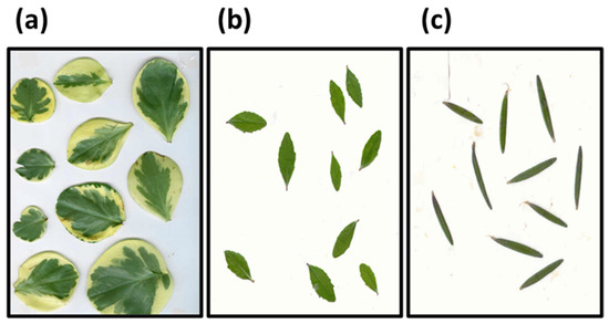 Correlations between R, G, and B Values, Pigment Concentration, and ...
