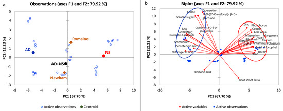 Agronomy | Free Full-Text | Agronomic Performance and Phytochemical ...