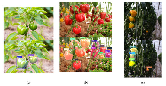 Research on Instance Segmentation Algorithm of Greenhouse Sweet Pepper ...