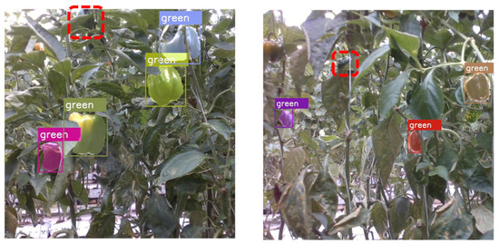 Research on Instance Segmentation Algorithm of Greenhouse Sweet Pepper ...