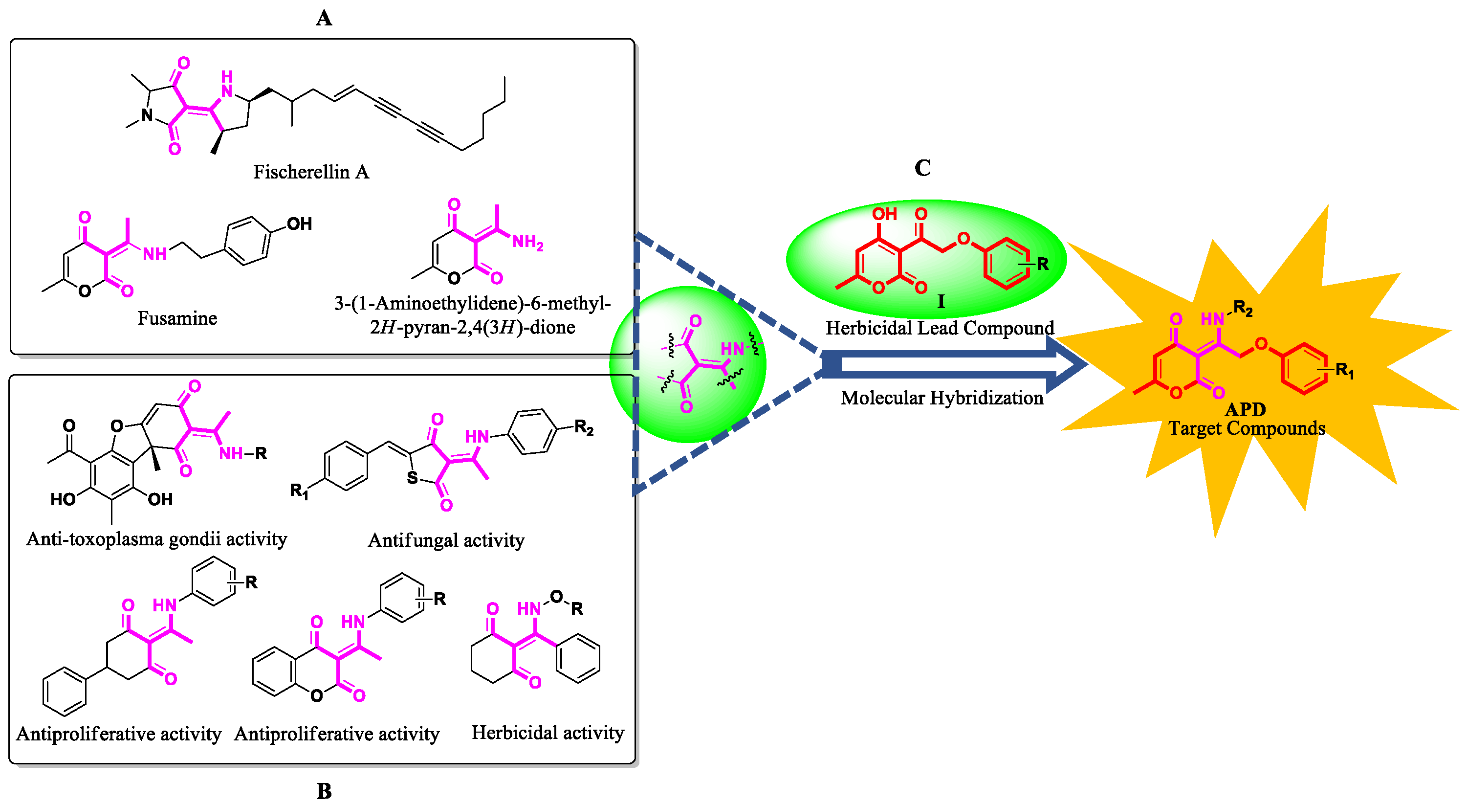 Discovery of 3-(1-Amino-2-phenoxyethylidene)-6-methyl-2H-pyran-2,4(3H)-dione Derivatives as ...