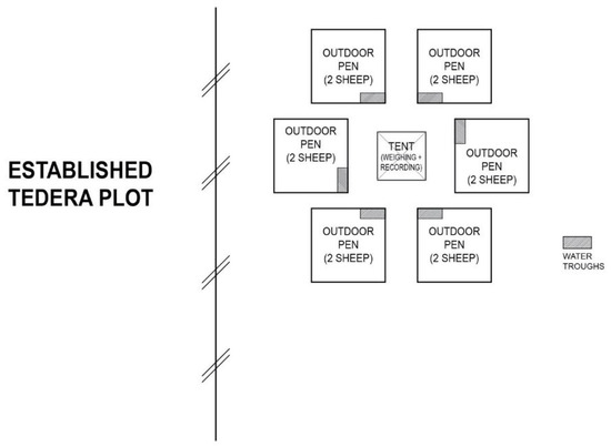 Sheep Preference for Fresh Leaf and Stem of Seven Accessions of Tedera ...