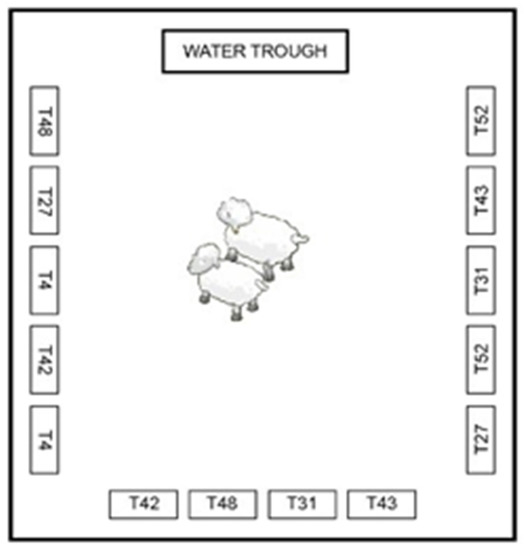 Sheep Preference for Fresh Leaf and Stem of Seven Accessions of Tedera ...