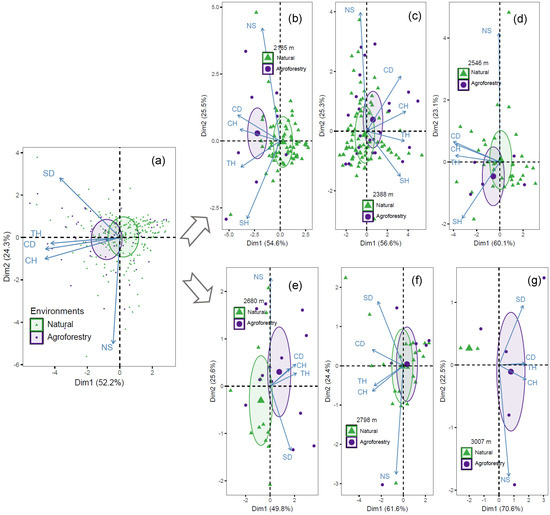 Tara (Caesalpinia spinosa) in Natural and Agroforestry Systems under an ...