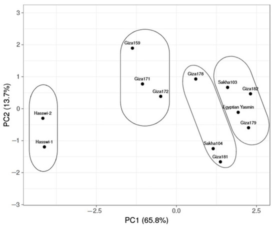 Comparative Genetic Diversity Assessment and Marker–Trait Association ...