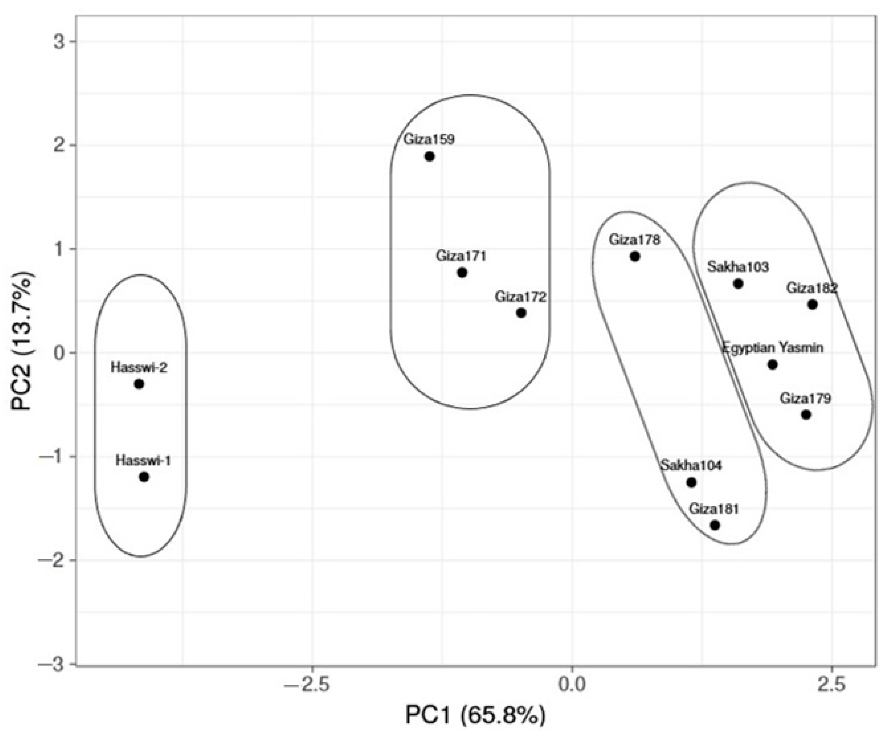 Comparative Genetic Diversity Assessment and Marker–Trait Association Using Two DNA Marker ...