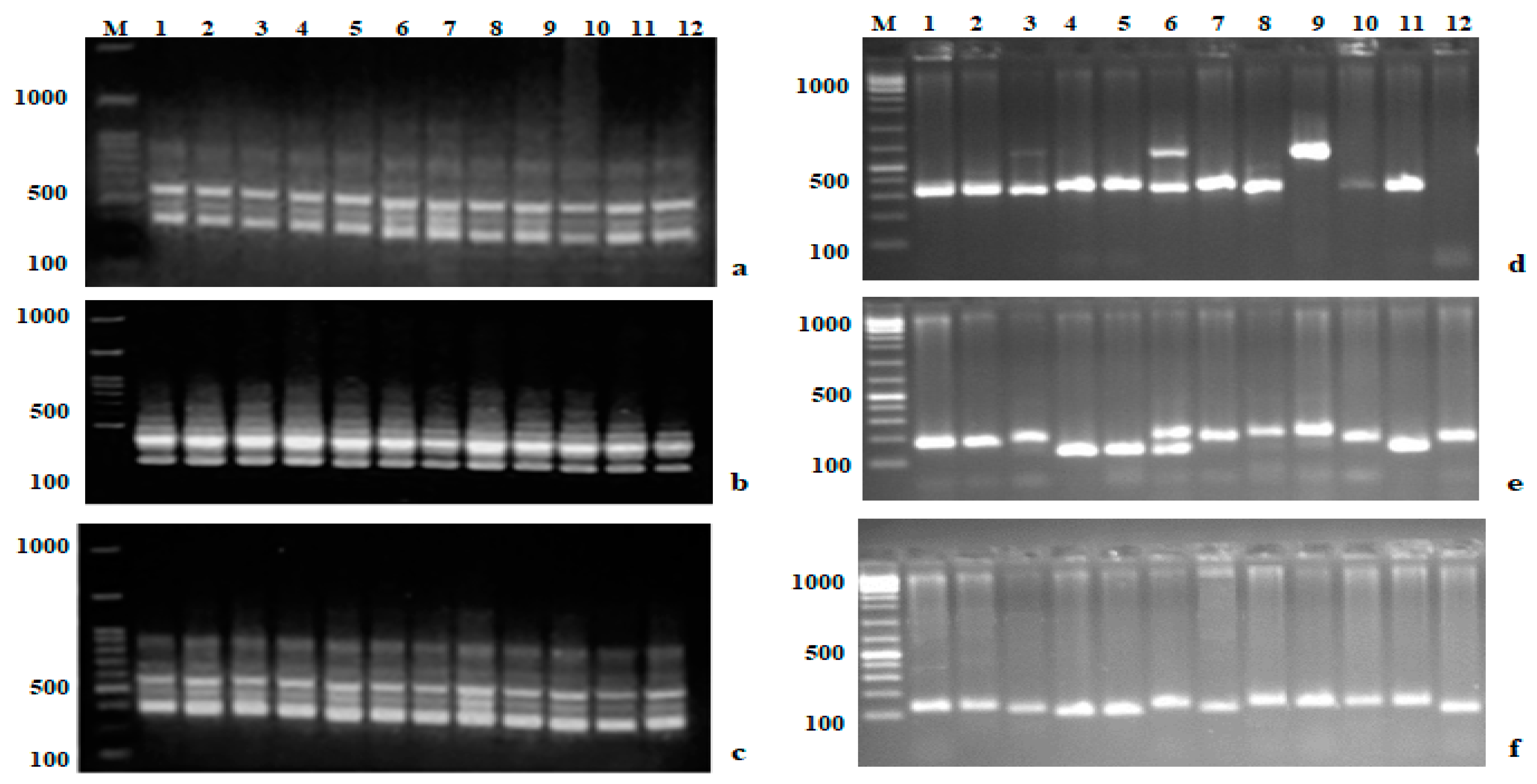 Comparative Genetic Diversity Assessment and Marker–Trait Association ...