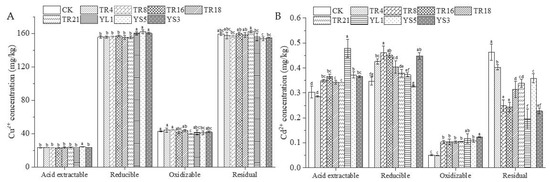Agronomy | Free Full-Text | Endophytic Bacteria in Ricinus communis L.: Diversity of Bacterial ...