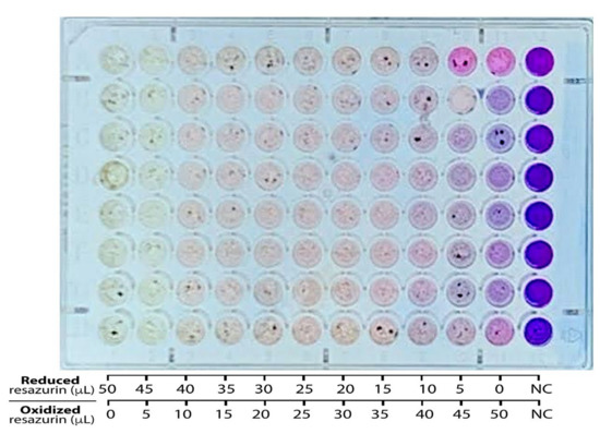 Agronomy | Free Full-Text | An Accurate, Affordable, and Precise ...