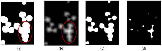 Agronomy | Free Full-Text | A Novel Segmentation Recognition Algorithm ...