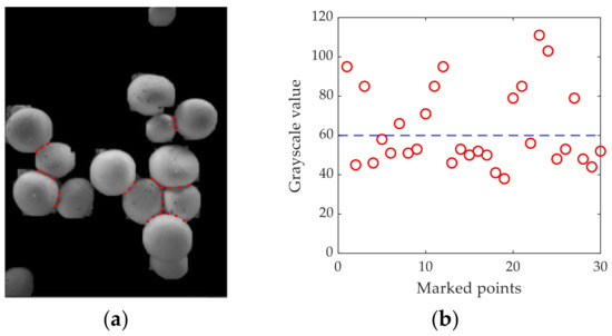 Agronomy | Free Full-Text | A Novel Segmentation Recognition Algorithm ...