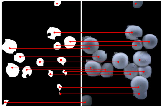 Agronomy | Free Full-Text | A Novel Segmentation Recognition Algorithm of Agaricus bisporus ...
