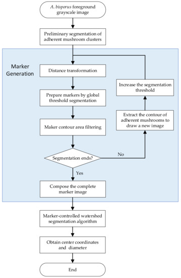 Agronomy | Free Full-Text | A Novel Segmentation Recognition Algorithm ...