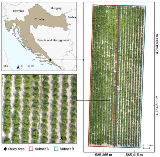 A Micro-Scale Approach for Cropland Suitability Assessment of Permanent ...