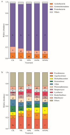 Agronomy | Free Full-Text | PhoD Harboring Microbial Community and ...