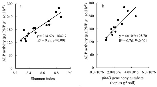 Agronomy | Free Full-Text | PhoD Harboring Microbial Community and ...