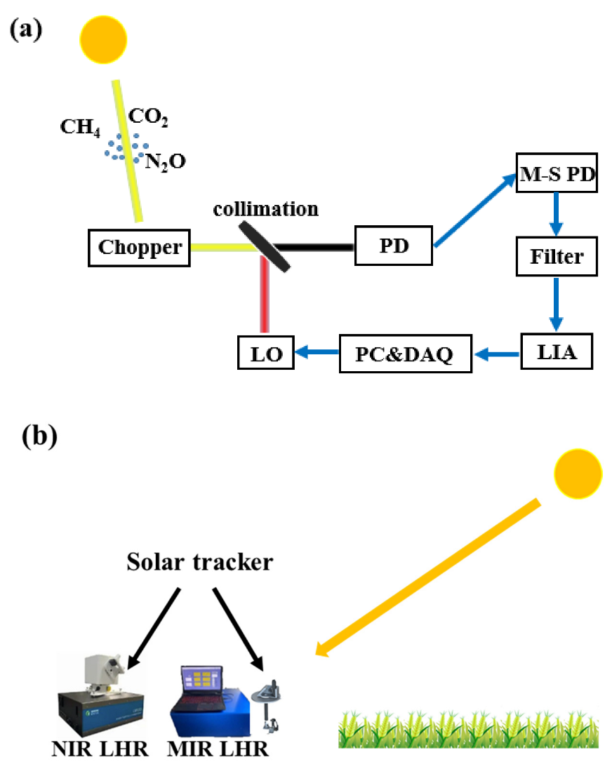 Real-Time Measurement of Atmospheric CO2, CH4 and N2O above Rice Fields ...
