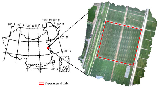 Agronomy | Free Full-Text | Estimation of Maize Yield and Protein Content under Different ...