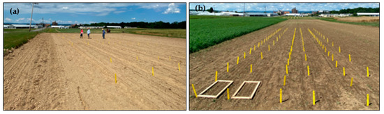 Development of Superabsorbent Polymer (SAP) Seed Coating Technology to ...