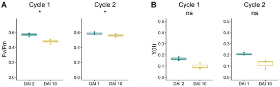 Assessing Grapevine Water Status by Integrating Vine Transpiration ...