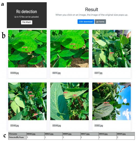 Detection of Soybean Insect Pest and a Forecasting Platform Using Deep Learning with Unmanned ...