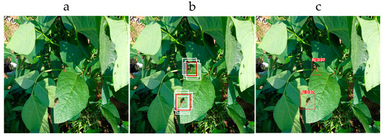 Detection of Soybean Insect Pest and a Forecasting Platform Using Deep ...