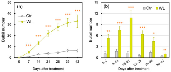 Bulbil Formation on Water Yam (Dioscorea alata L.) Is Promoted by ...
