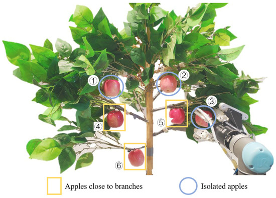 Branch Interference Sensing and Handling by Tactile Enabled Robotic ...