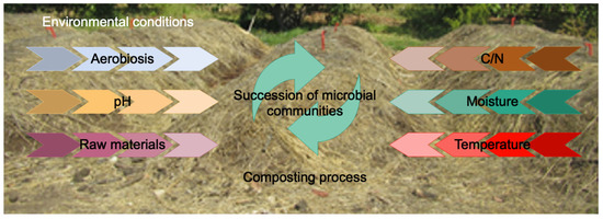 Agronomy | Free Full-Text | Microbial Community in the Composting Process and Its Positive ...