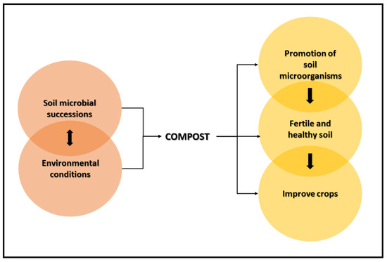 Agronomy | Free Full-Text | Microbial Community in the Composting ...