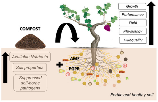 Agronomy | Free Full-Text | Microbial Community in the Composting ...