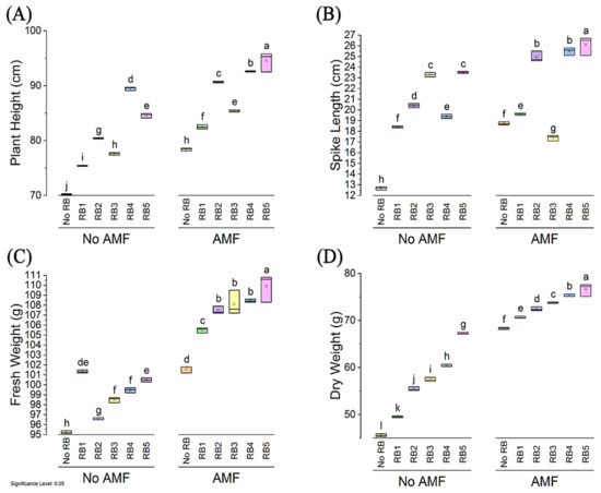 Plant Growth Promoting Rhizobacteria (PGPR) and Arbuscular Mycorrhizal ...