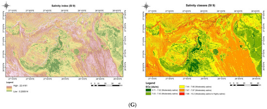 Soil Salinity Assessing and Mapping Using Several Statistical and Distribution Techniques in ...