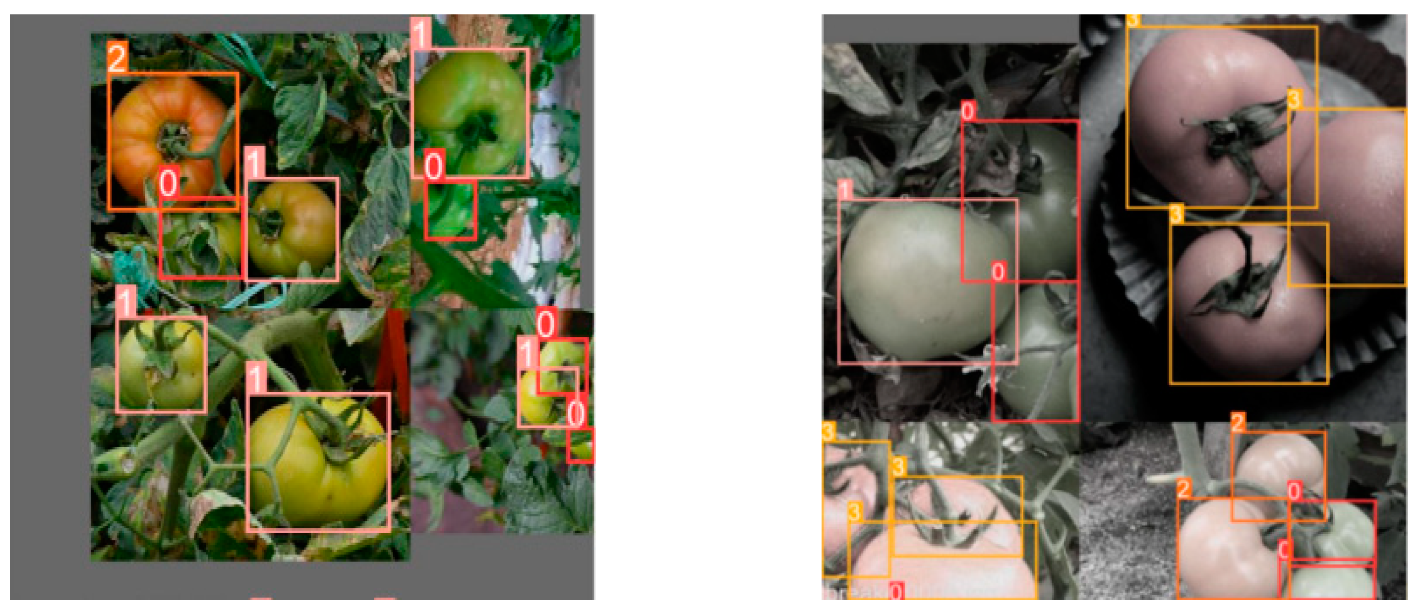 Tomato Maturity Recognition Model Based on Improved YOLOv5 in Greenhouse