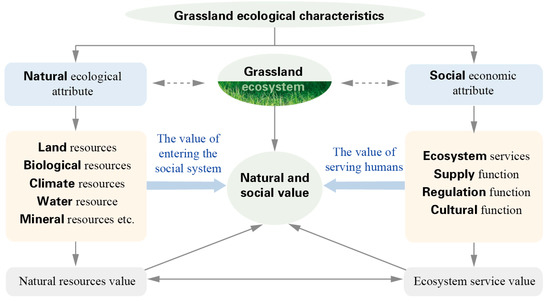 Grassland Ecosystem Diagram