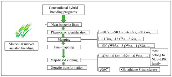 Molecular Advances in Breeding for Durable Resistance against Pests and ...