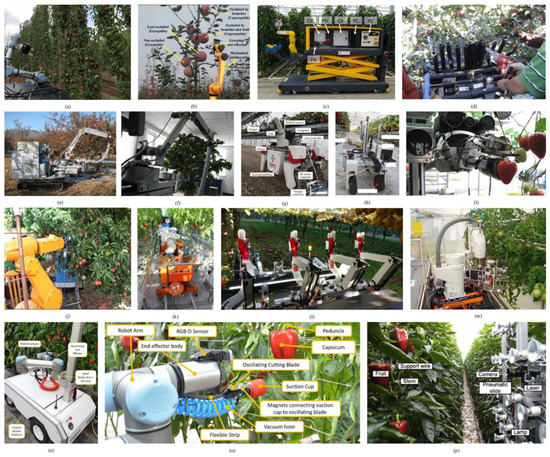 Object Detection and Recognition Techniques Based on Digital Image ...