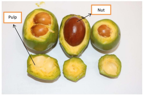 Agronomy | Free Full-Text | Heritability and Genetic Advance Estimates ...
