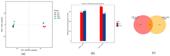 Castor Plant Adaptation to Salinity Stress during Early Seedling Stage ...