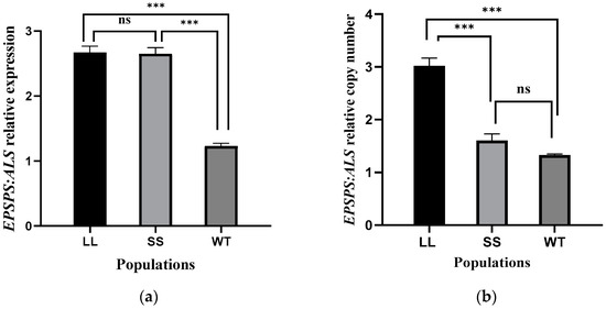 Gene Amplification of EPSPS with a Mutation in Conserved Region: The ...