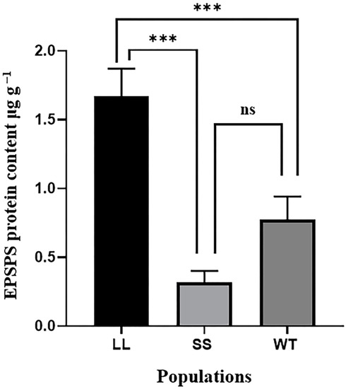 Gene Amplification of EPSPS with a Mutation in Conserved Region: The ...