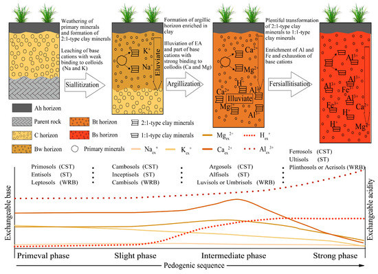 Cation Exchange Properties of Subsurface Soil in Mid-Subtropical China ...