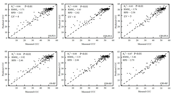 Estimation of Winter Wheat Canopy Chlorophyll Content Based on Canopy Spectral Transformation ...