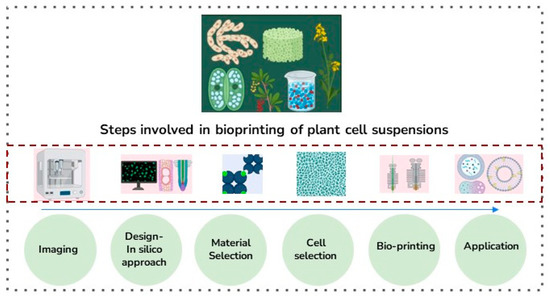 Plant Cell Cultures: Biofactories for the Production of Bioactive Compounds